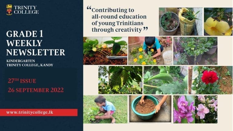 Home Gardening – 27th Issue of the Grade 1 Weekly Newsletter | Trinity ...