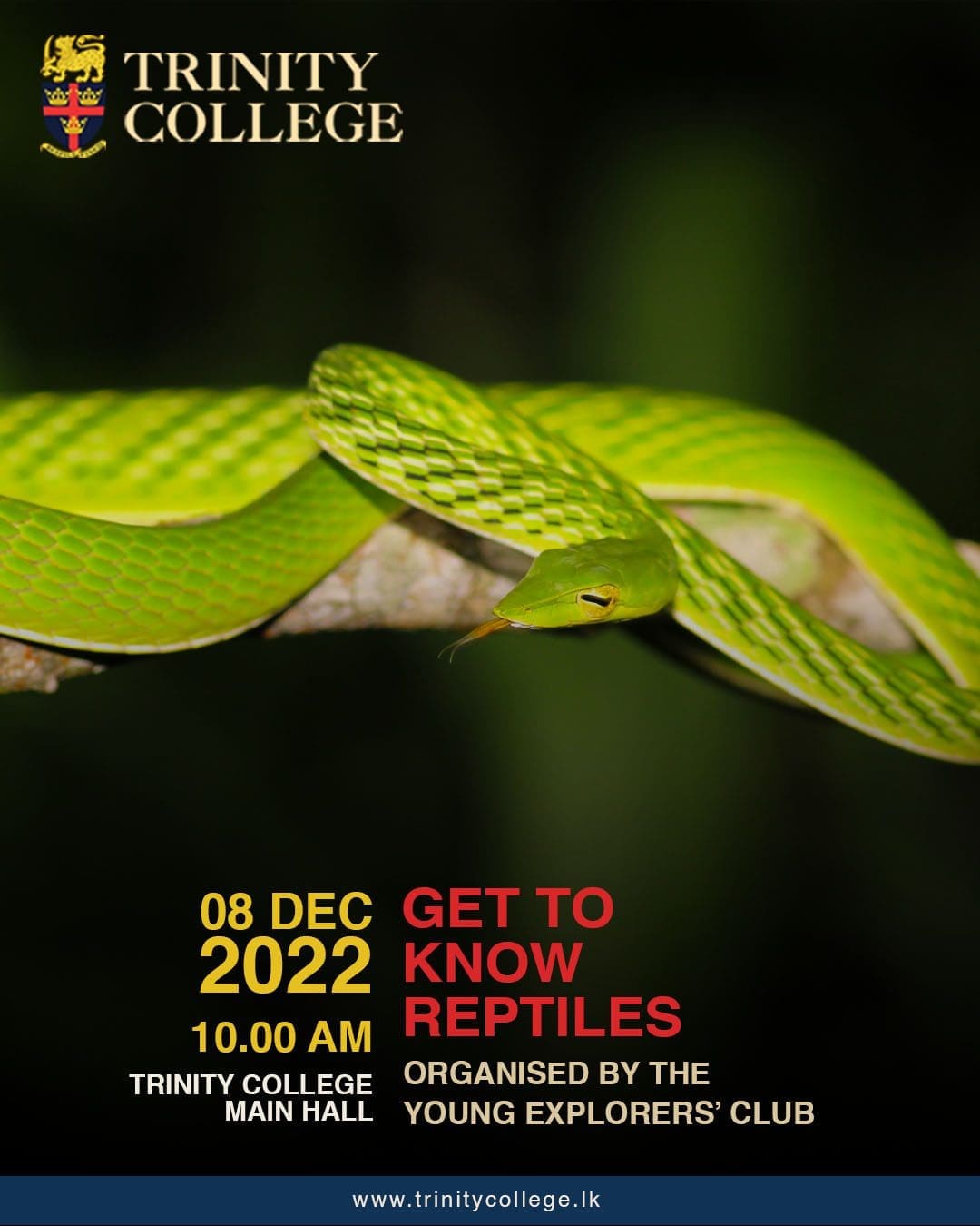 Get to know Reptiles – An educational event by the Young Explorers ...