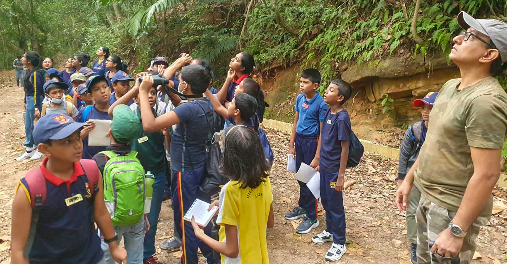 Journey to the center of Greenery – Discovering the Beauty of ...