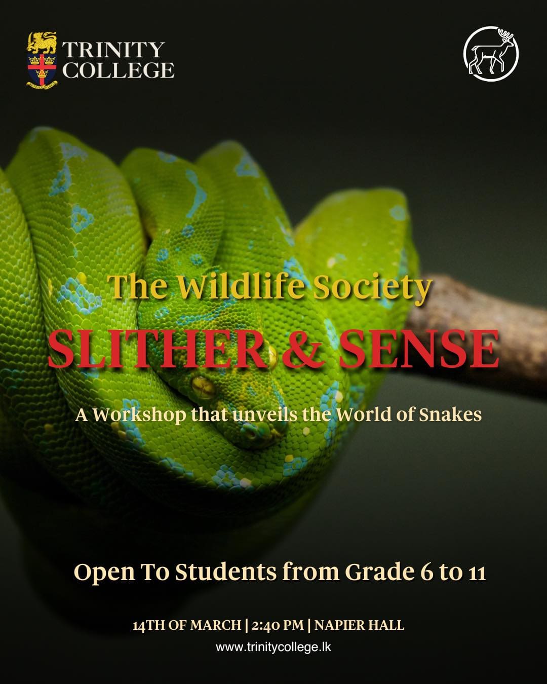Admissions – Grade 1, 2025 | Trinity College Kandy, Sri Lanka